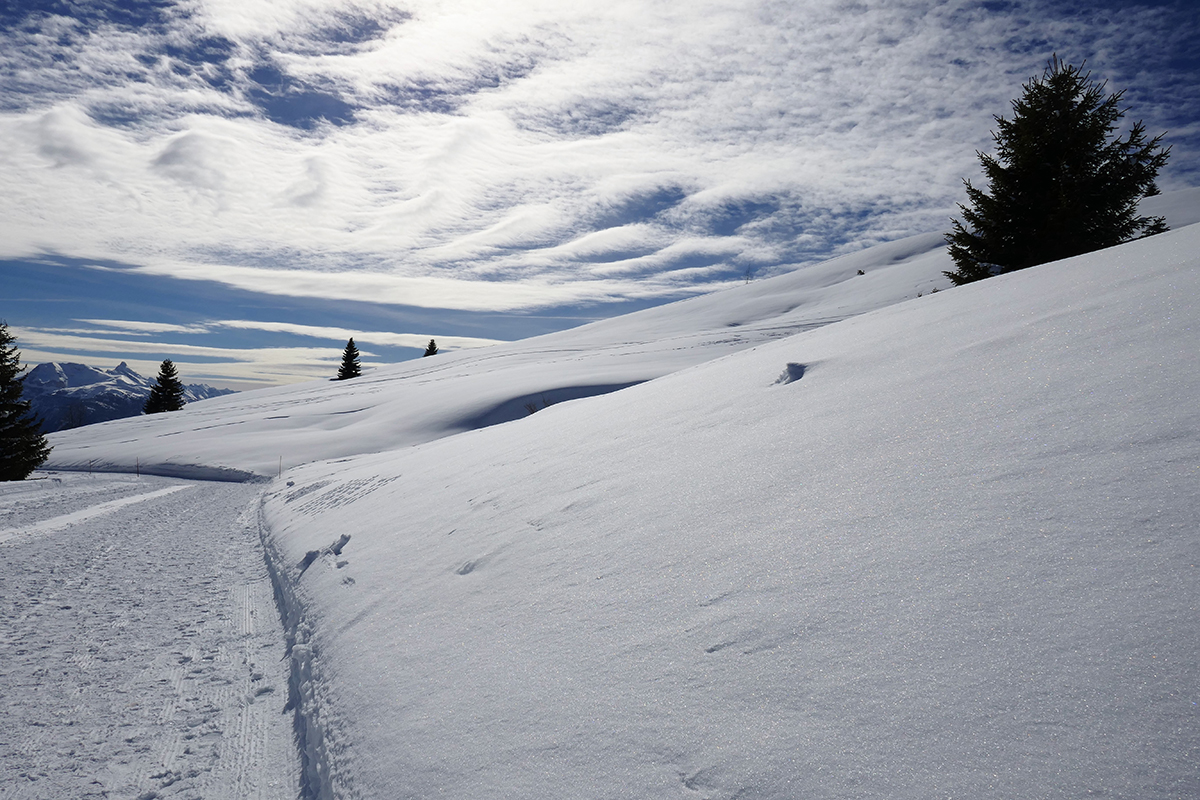 Balade facile aux Gets : le Mont-Caly et le Mont-Chery