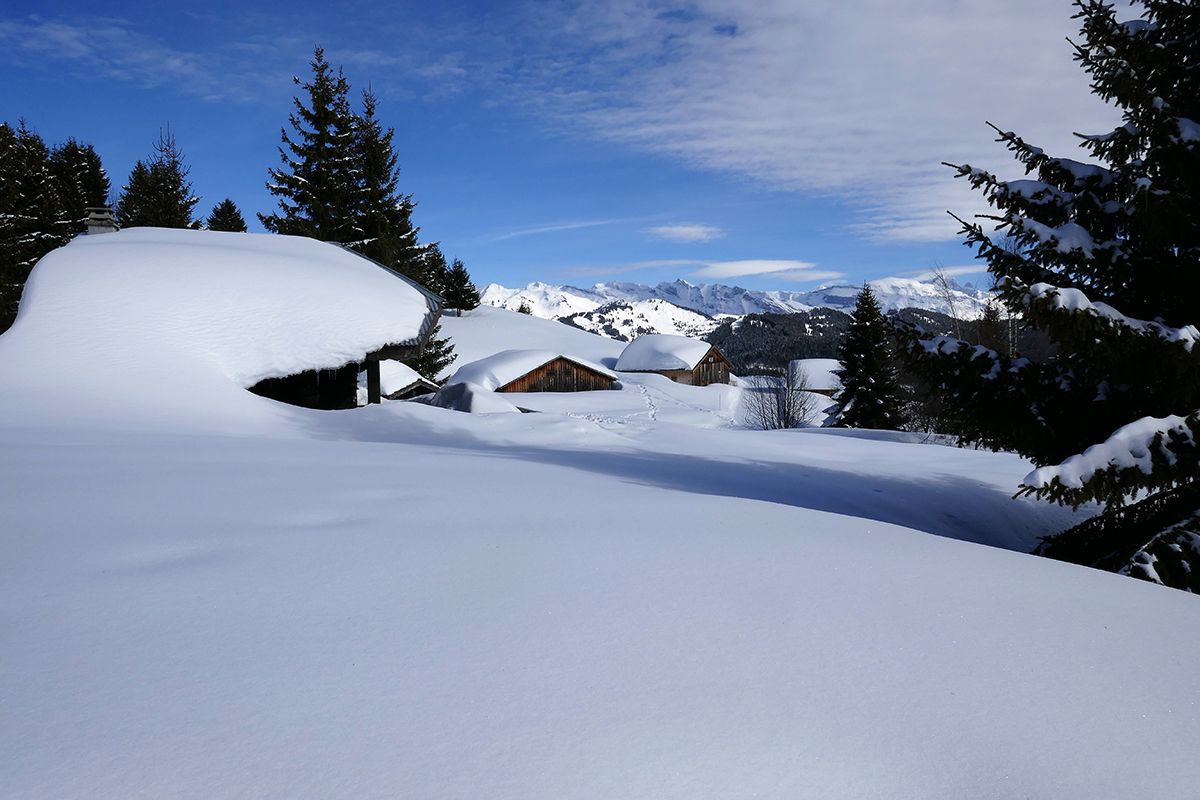Balade facile aux Gets : le Mont-Caly et le Mont-Chery
