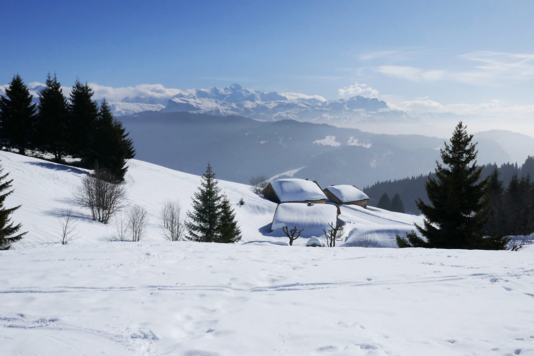 Balades en raquettes en Haute-Savoie - Les sorties de Sophie