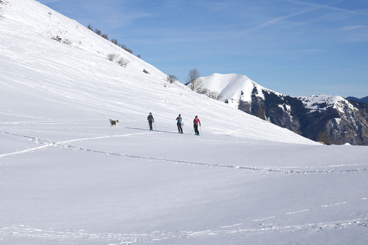 Brison : randonnée à la Pointe d'Andey - Les sorties de Sophie
