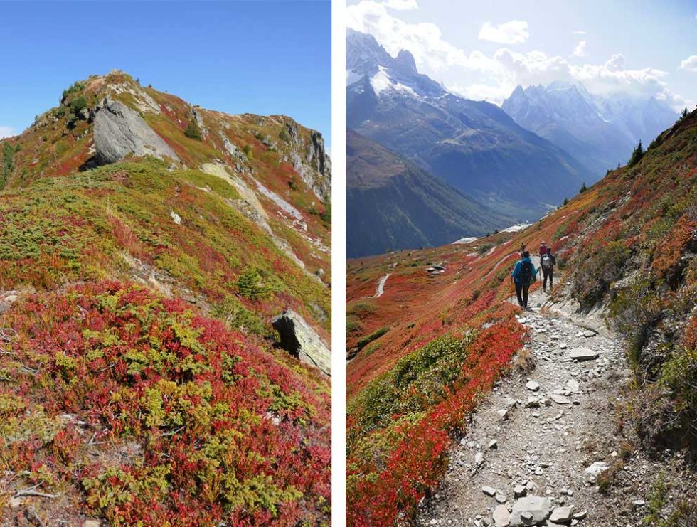 Argentière, village du Tour : randonnée à l'Aiguillette des Posettes ...